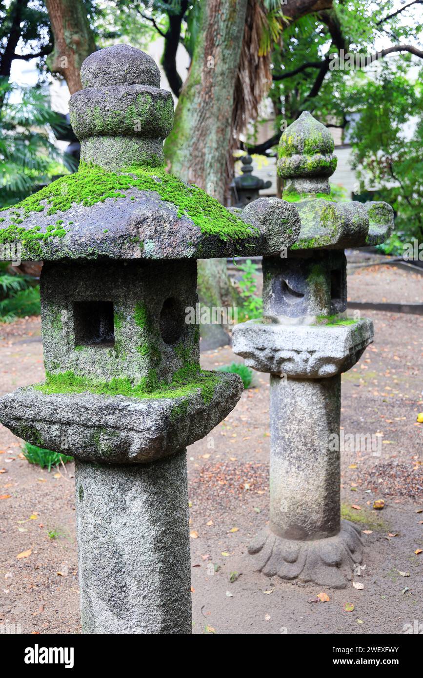 Japanese stone lantern in the garden, beautiful Autumn scenery in Japan ...