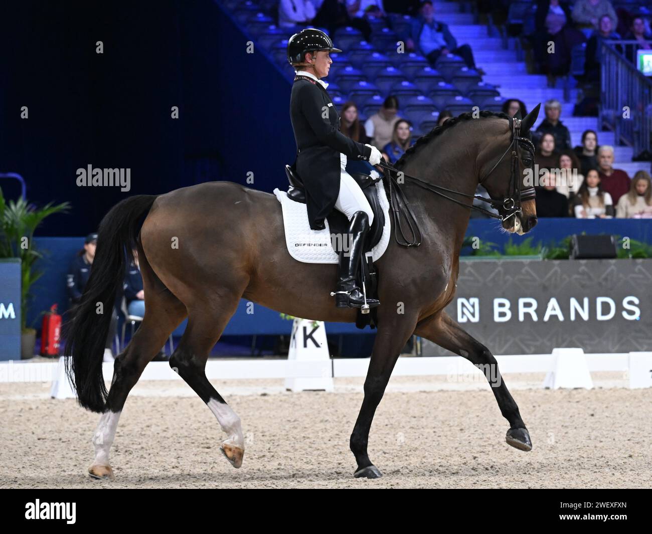 Isabell werth dsp quantaz hi-res stock photography and images - Alamy