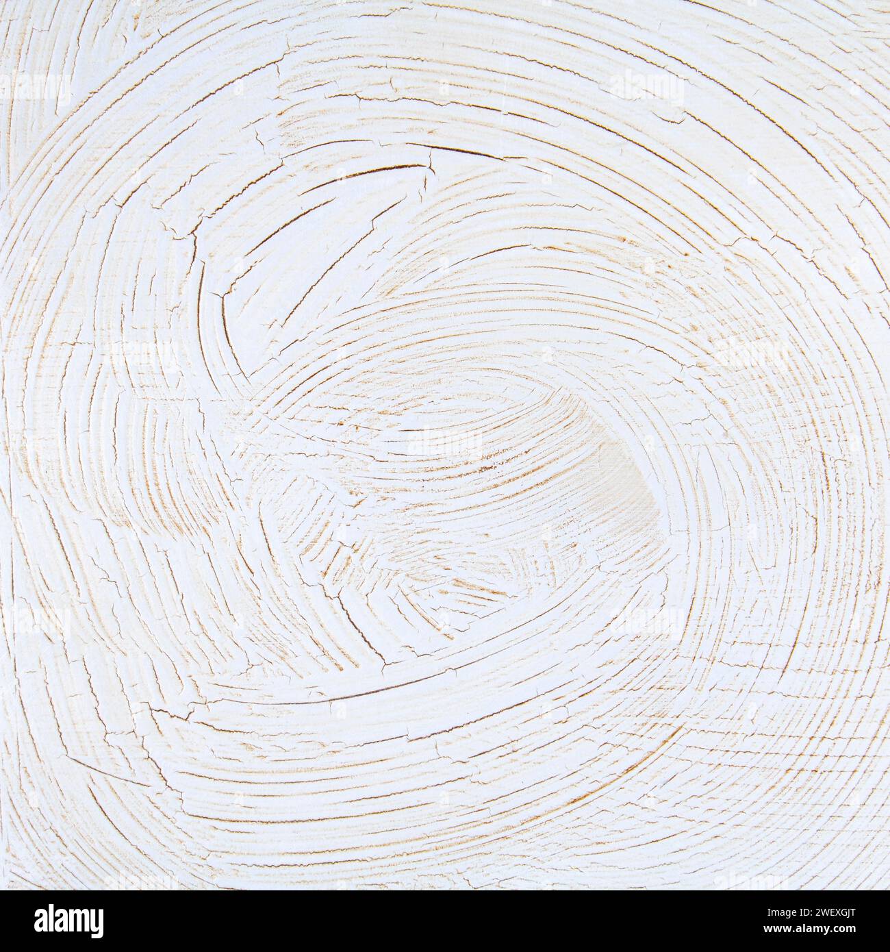 Close-up of a cracked paint abstract light background with unique ...