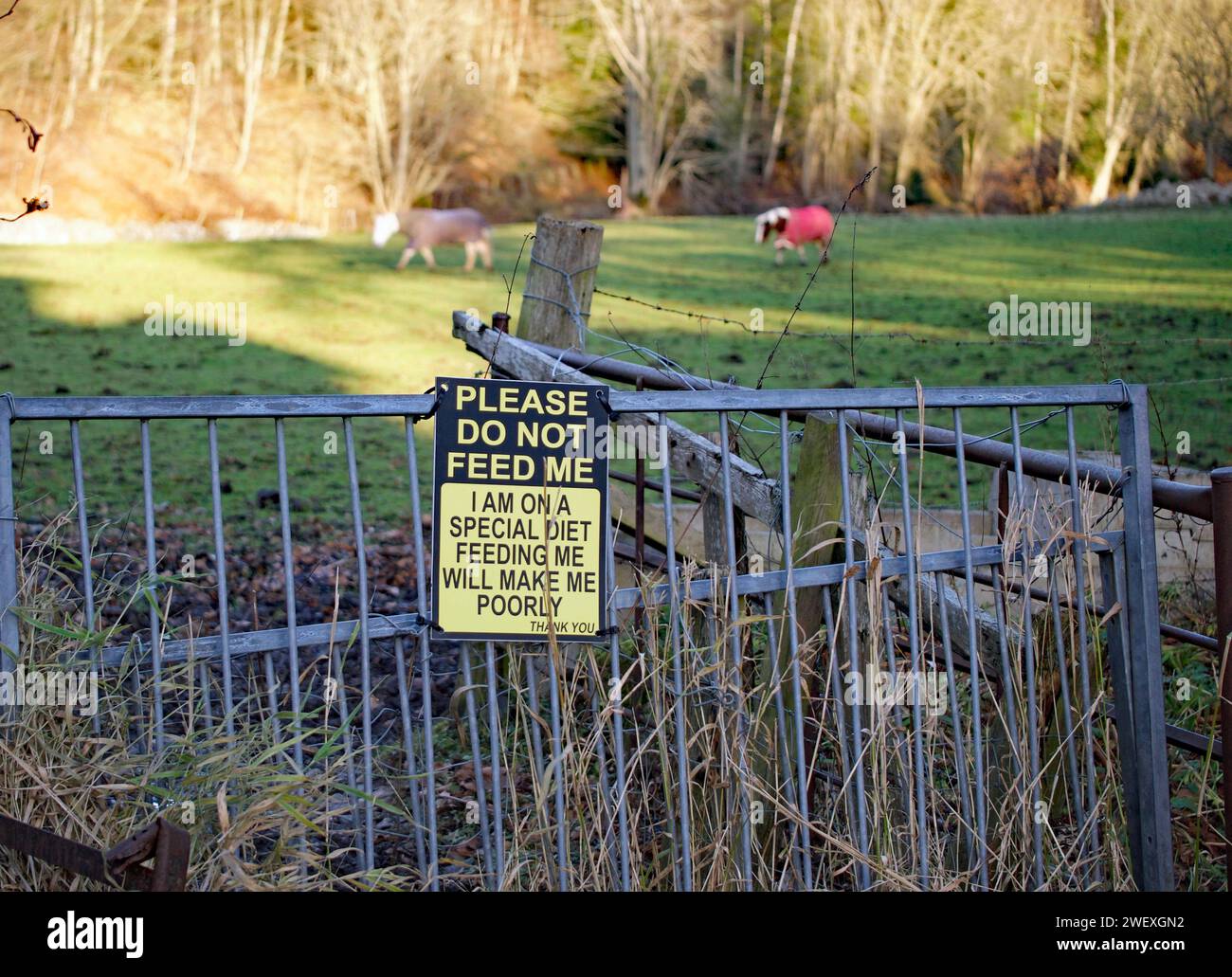 Greeting card gate hi-res stock photography and images - Alamy