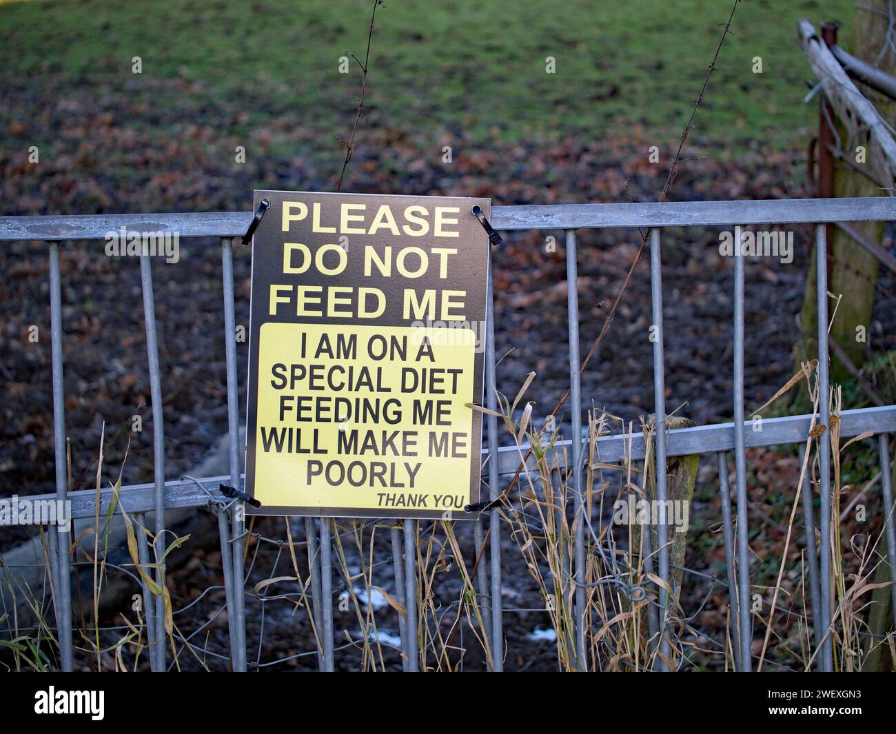 Funny gate hi-res stock photography and images - Alamy