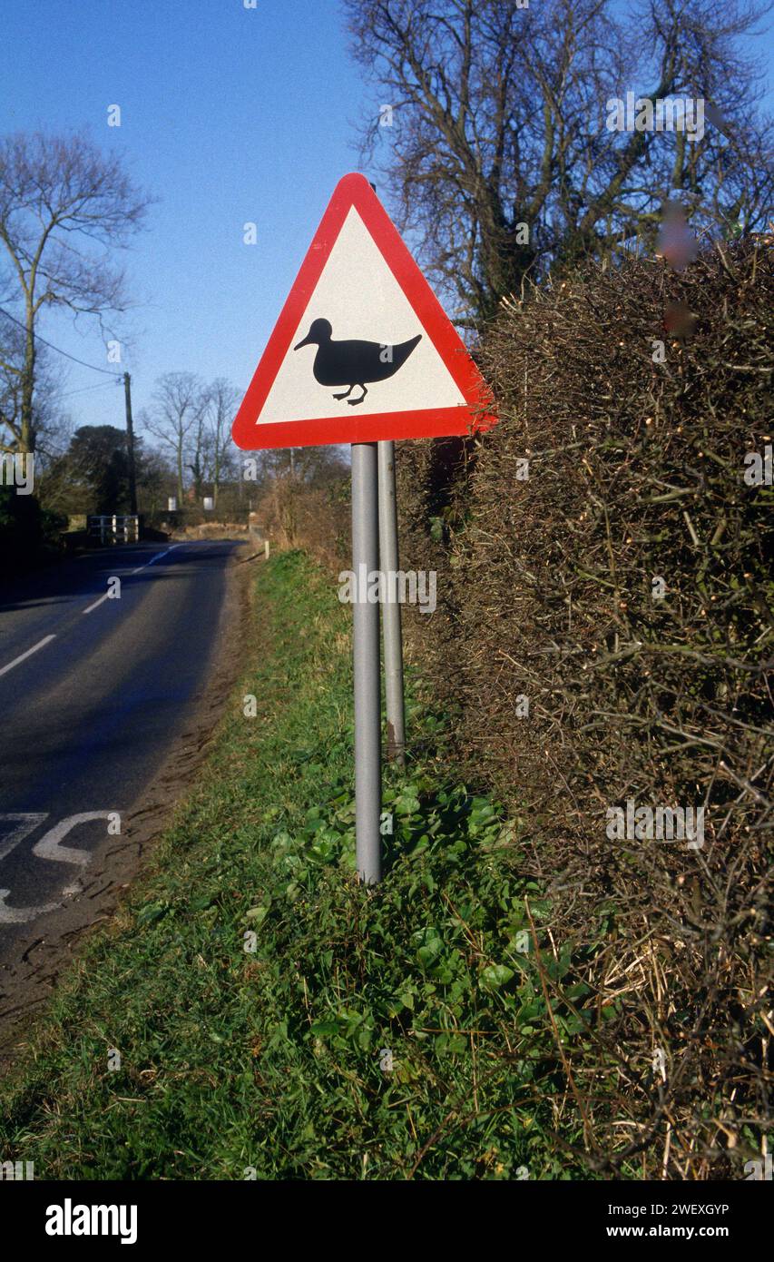 A duck crossing road sign in Needham Market Suffollk Stock Photo - Alamy