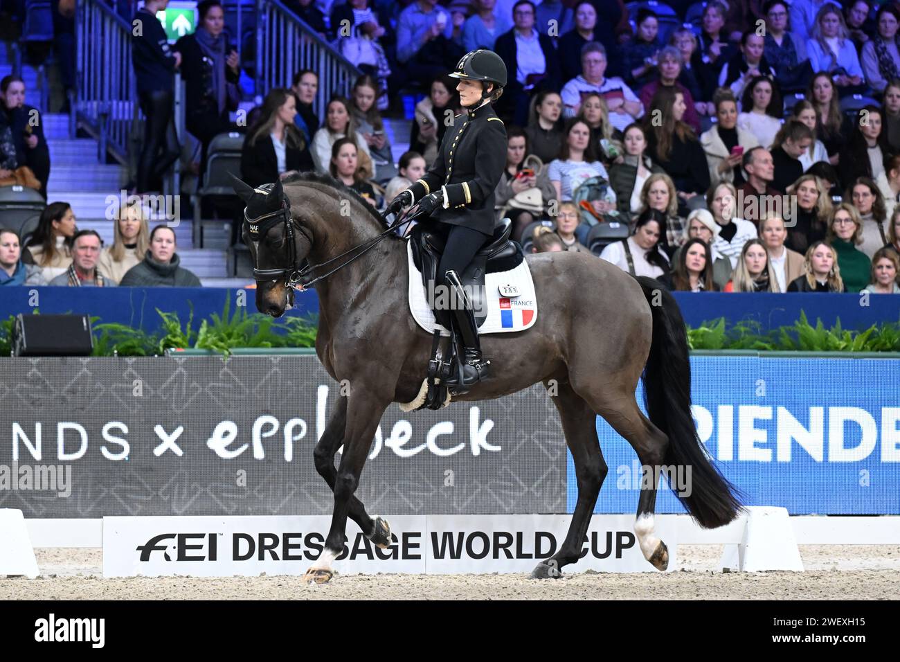 AMSTERDAM - Pauline Basquin with Sertorius de Rima Z Ifce during the ...