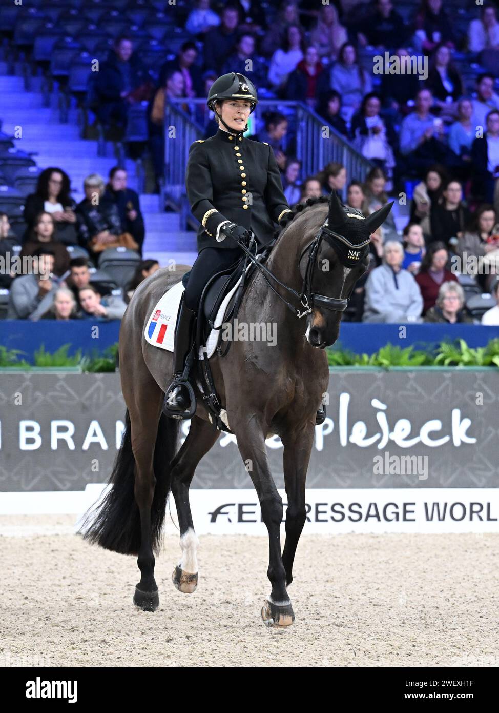 AMSTERDAM - Pauline Basquin with Sertorius de Rima Z Ifce during the ...
