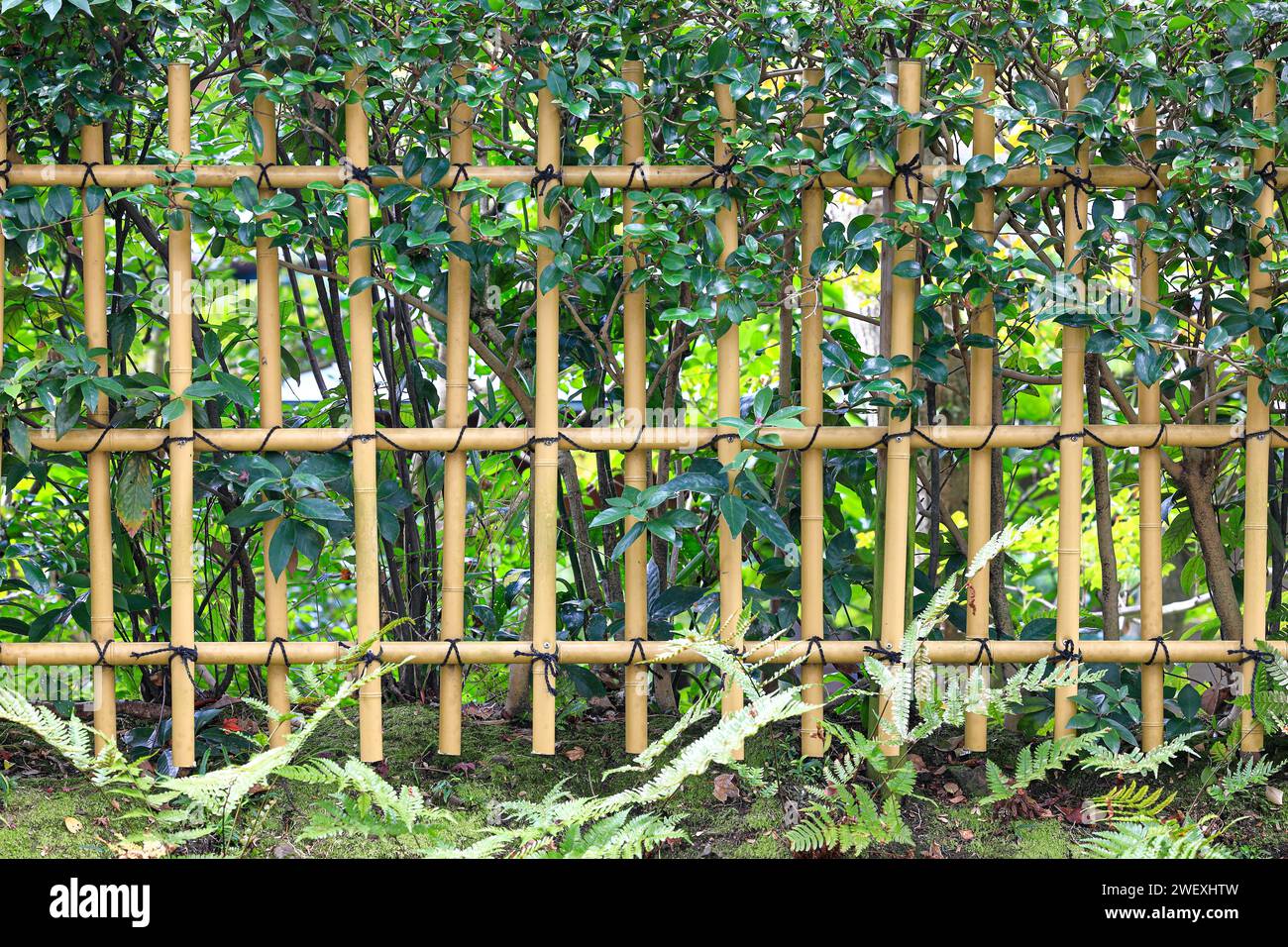 Japanese timber bamboo hi-res stock photography and images - Alamy