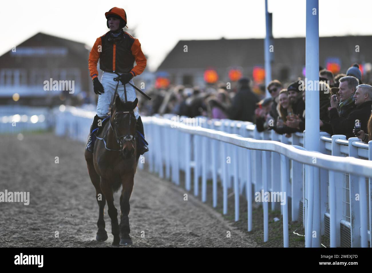 Noble yeats horse hi-res stock photography and images - Alamy