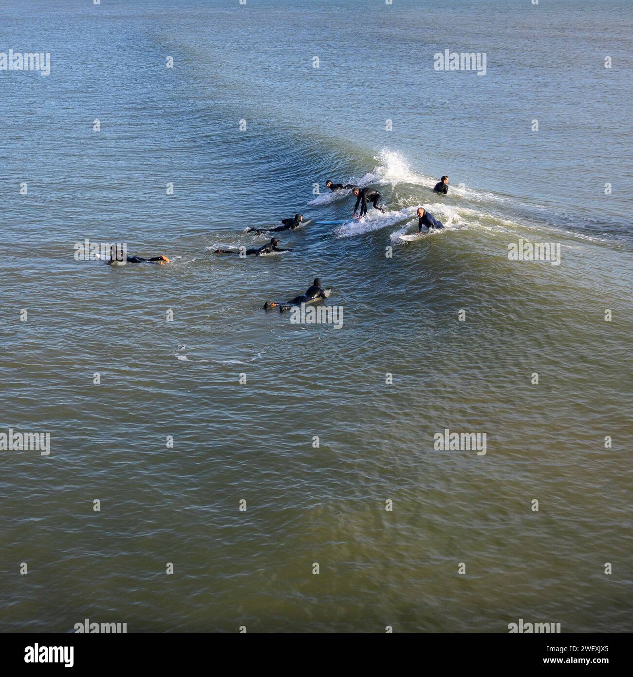 Treading water hi-res stock photography and images - Alamy