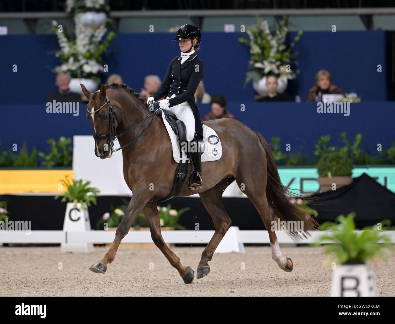 AMSTERDAM - Devenda Dijkstra with Hero during the FEI World Cup ...