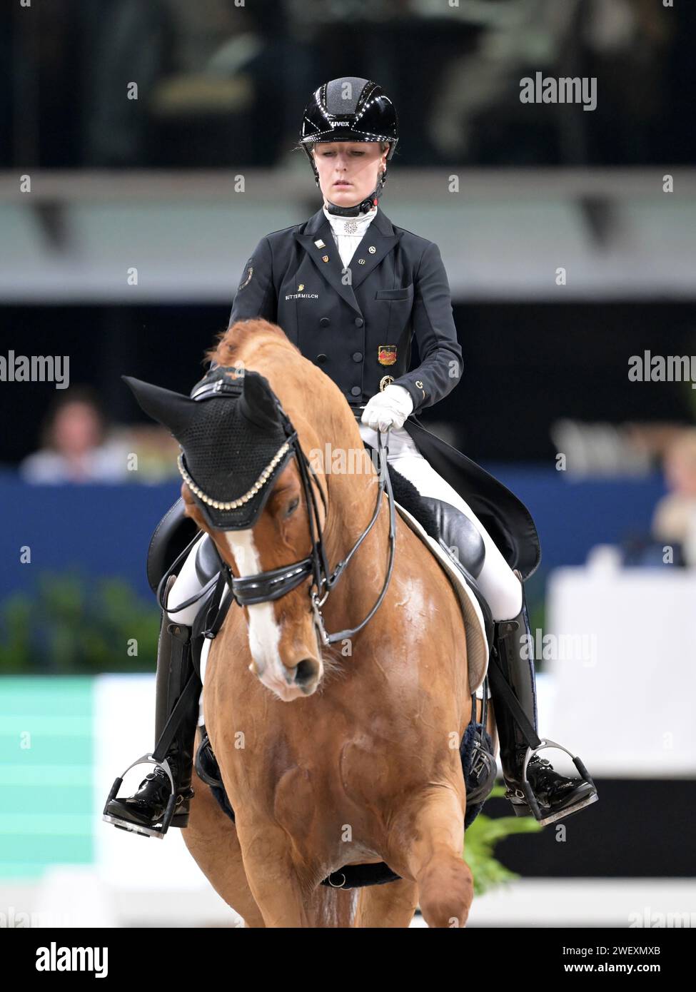 AMSTERDAM - Bianca Nowag Aulenbrock with Florine OLD during the FEI ...