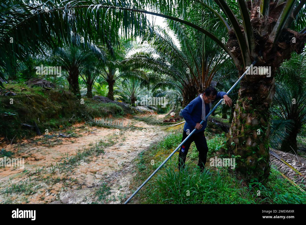 Malaysia 2024 021 hi-res stock photography and images - Alamy