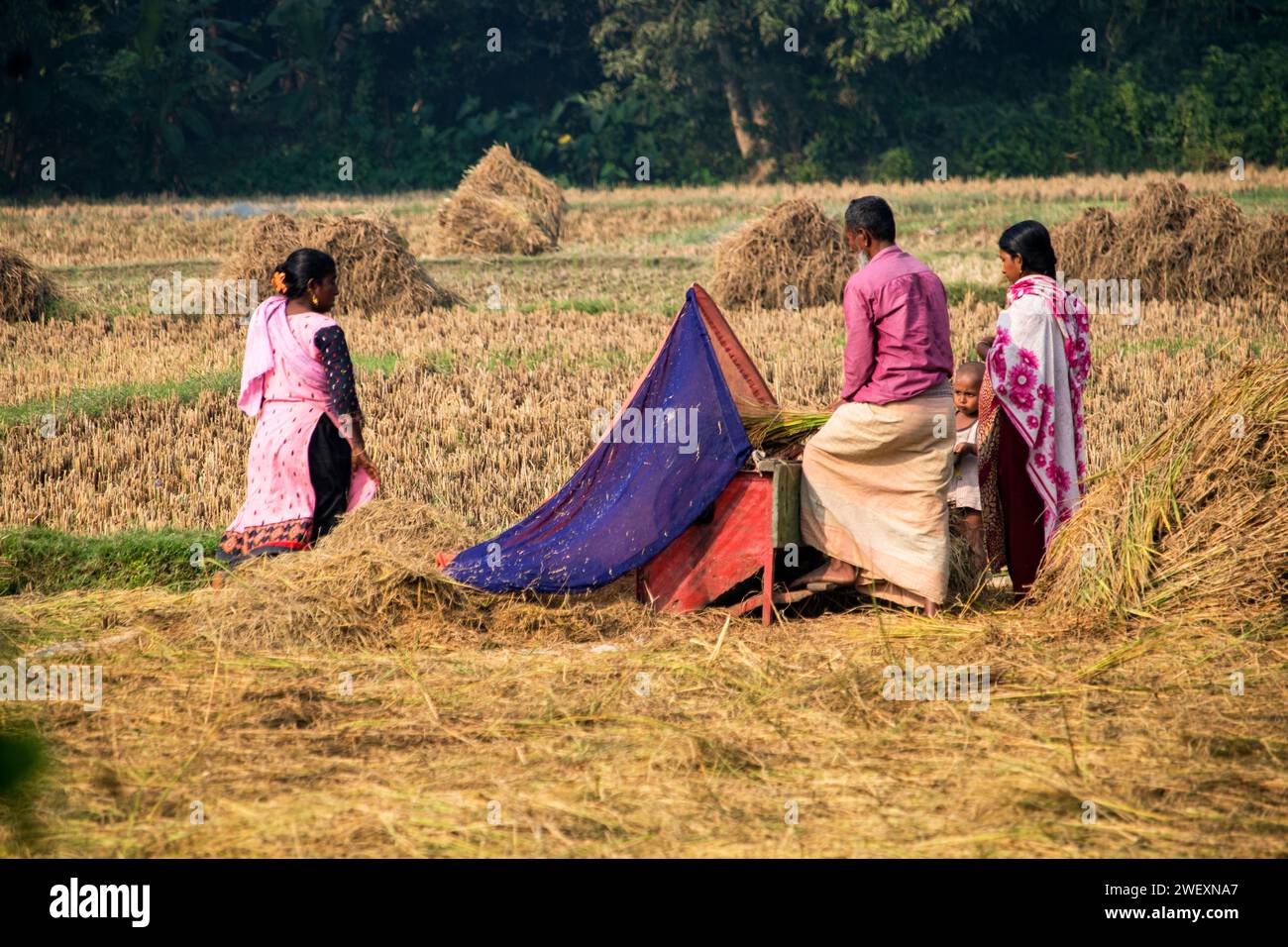 Bangladeshi village hi-res stock photography and images - Alamy