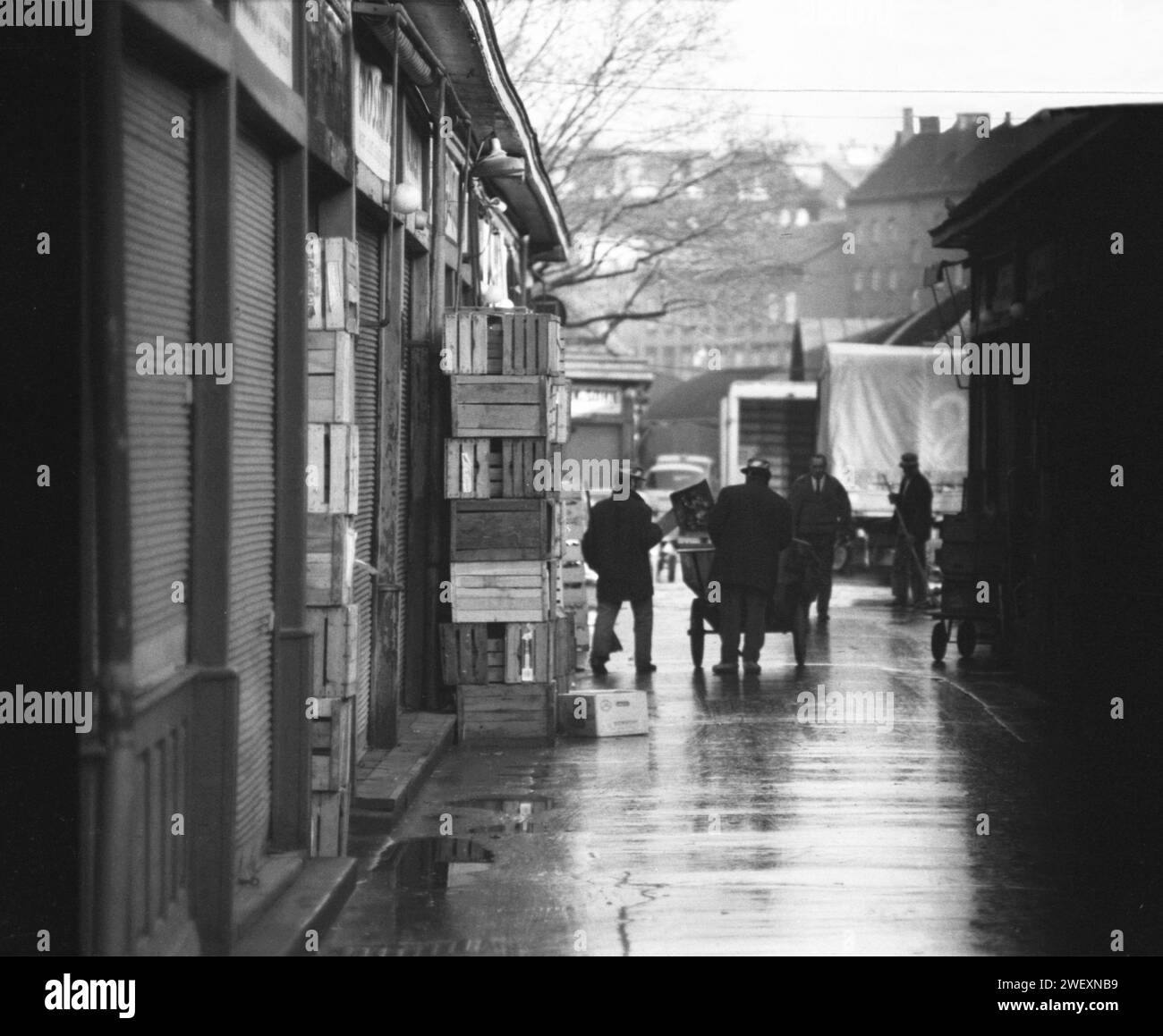 Street scene, Vienna, Austria; December 1971 Stock Photo - Alamy