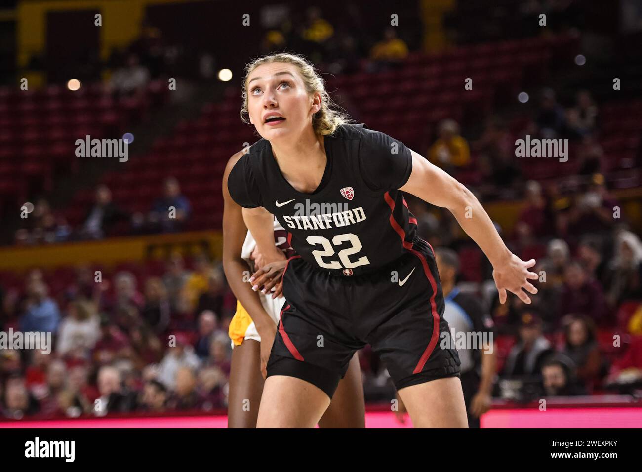 Cameron brink hi-res stock photography and images - Alamy