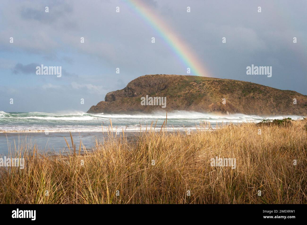 Cannibal beach hi-res stock photography and images - Alamy