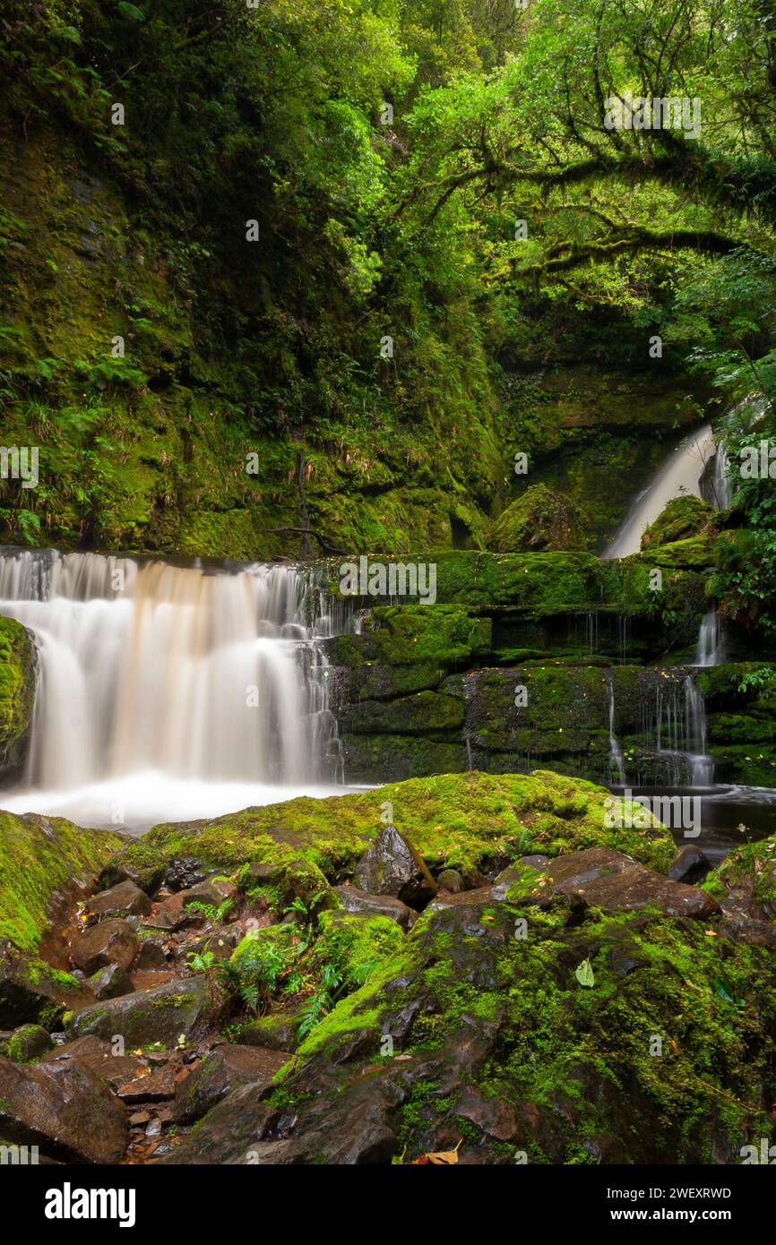 McLean falls in the Catlins on the South island of New Zealand Stock ...