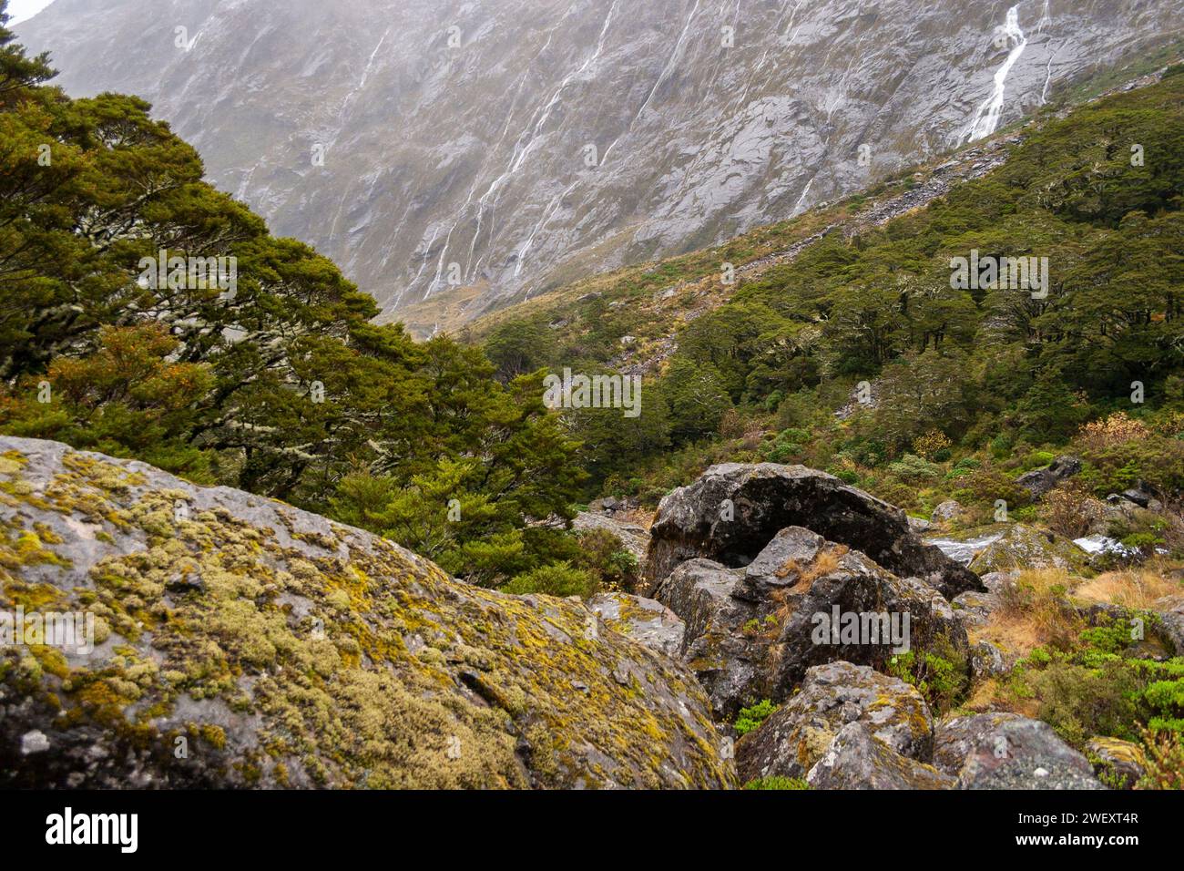 Homer tunnel falls hi-res stock photography and images - Alamy