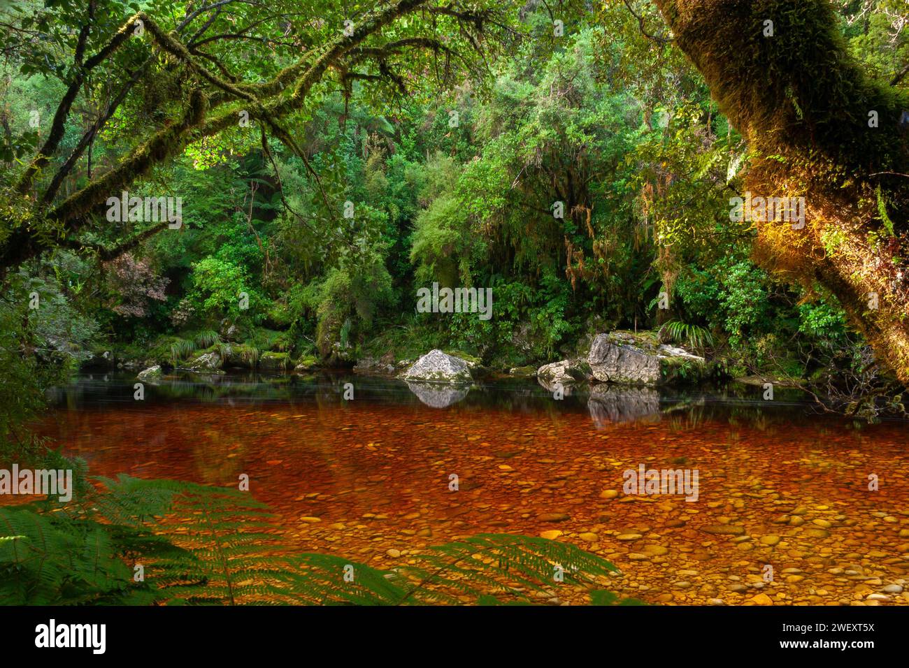 Oparara basin in the Kahurangi National Park on the west coast of the ...