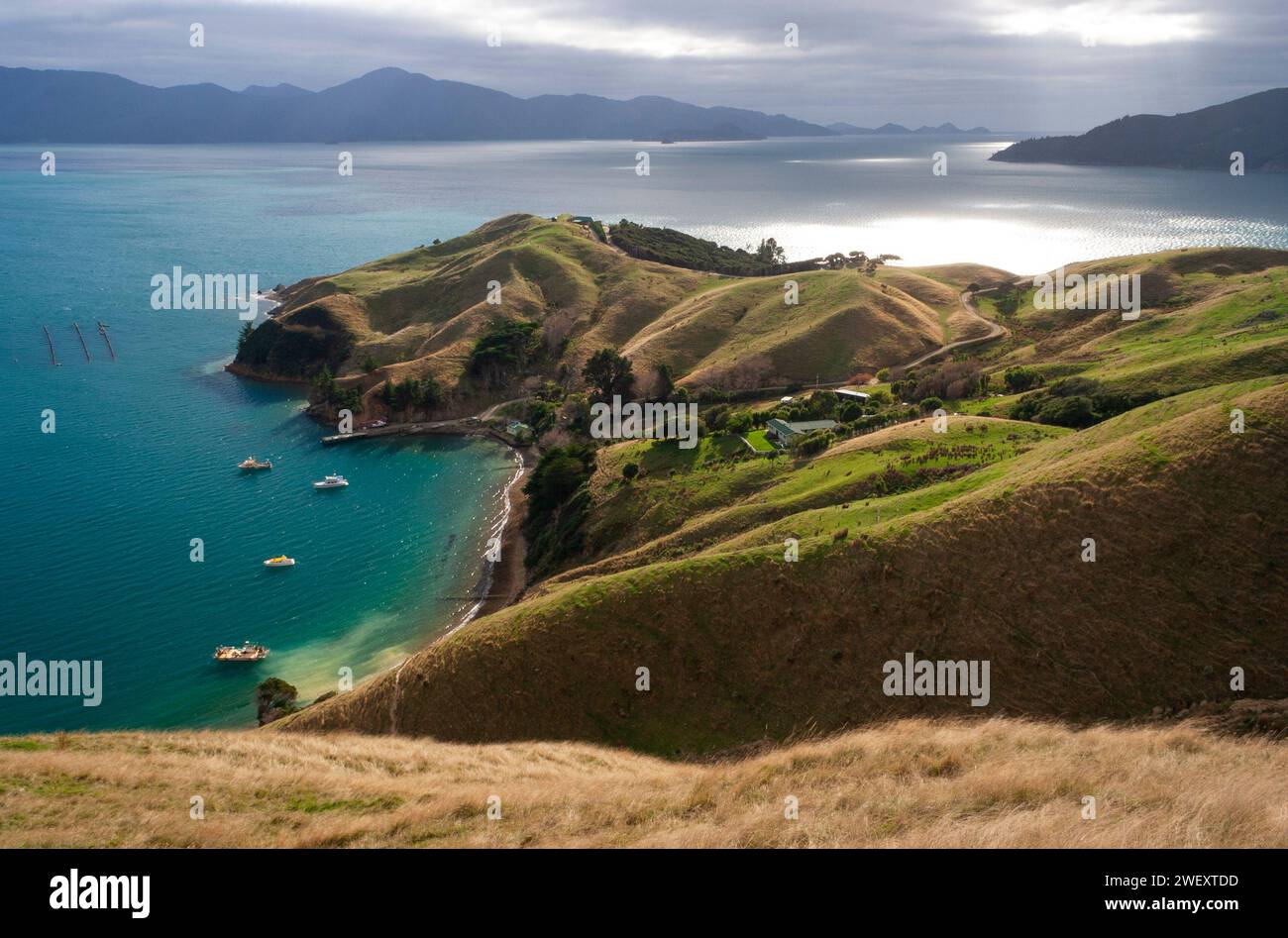 Spectacular views of small bays in the Marlborough Sounds on the South ...