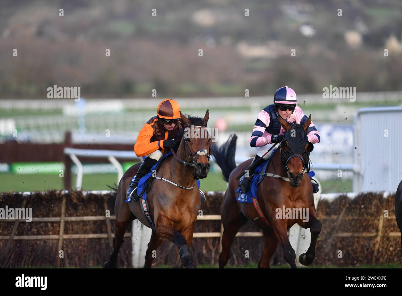 Noble yeats horse hi-res stock photography and images - Alamy