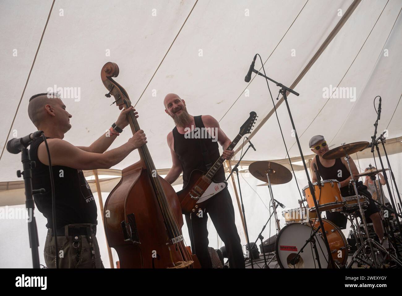 Band singer dance hi-res stock photography and images - Alamy