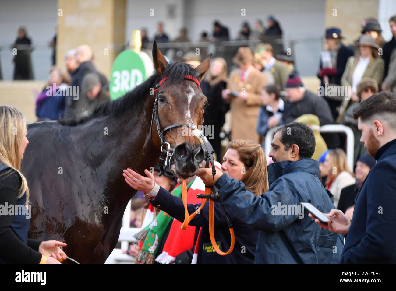James davies jockey hi-res stock photography and images - Alamy