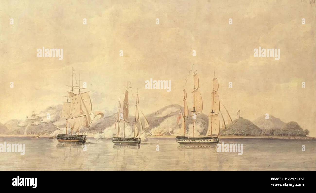 Amboyna hi-res stock photography and images - Alamy