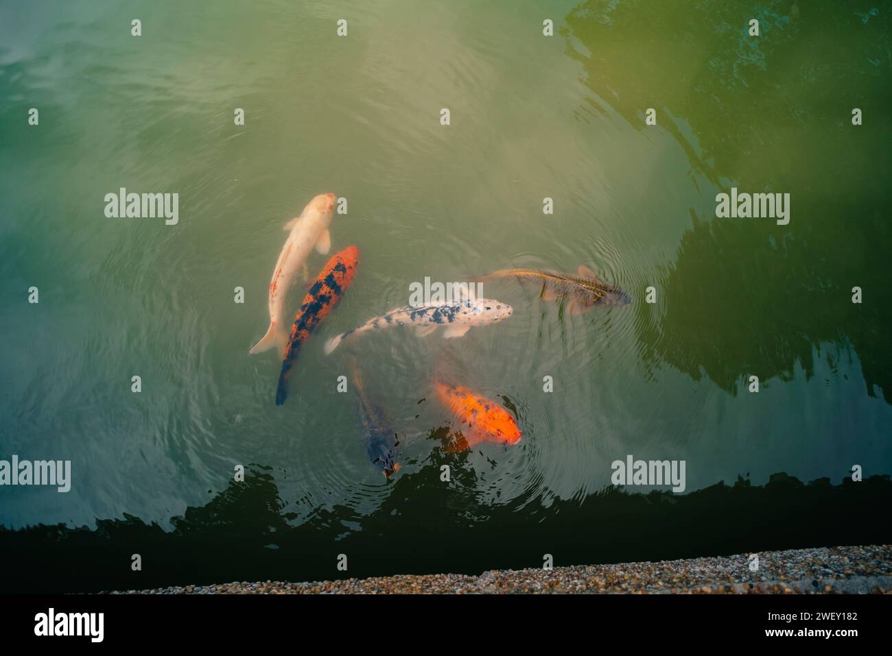 High quality orange map hi-res stock photography and images - Alamy