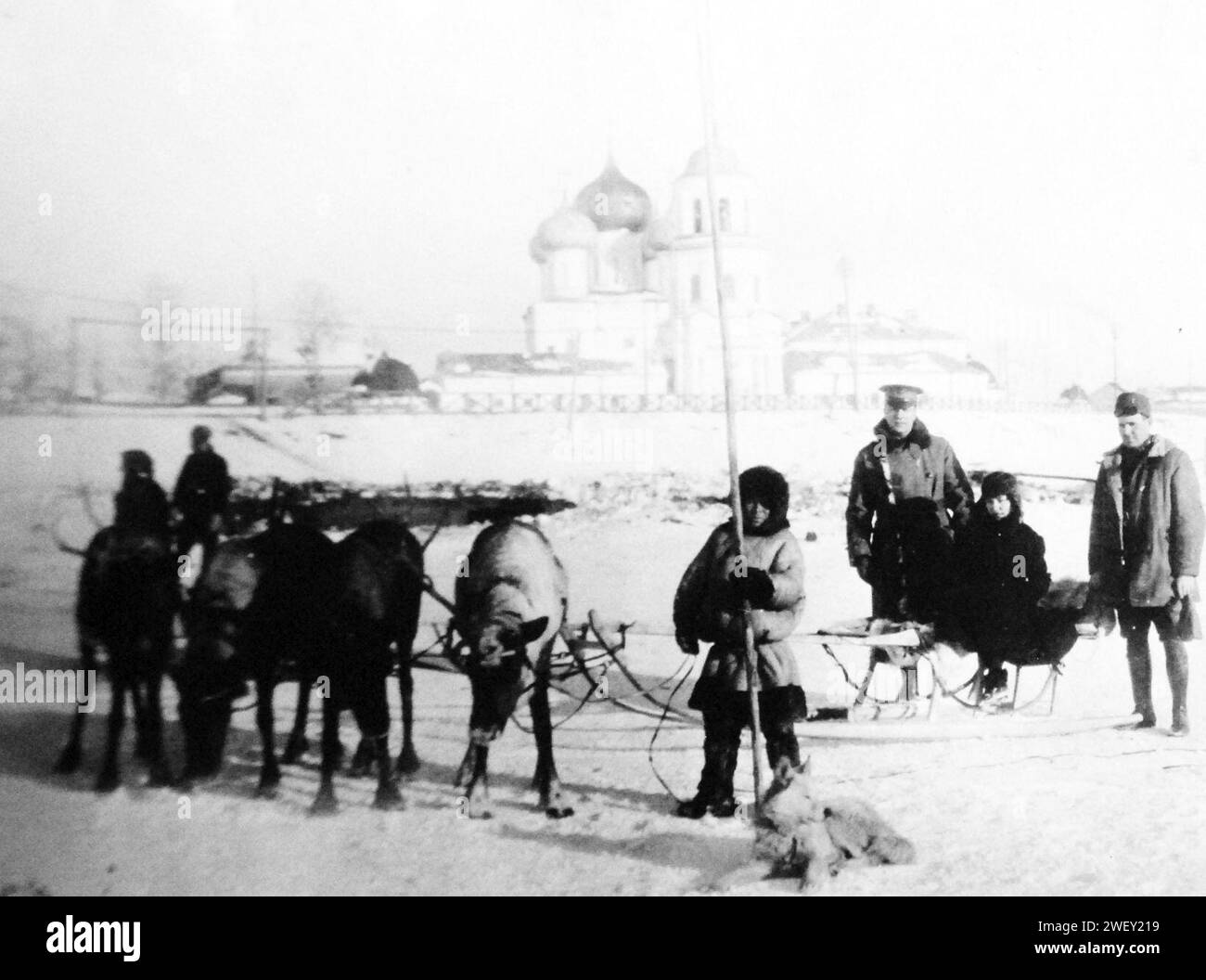 American Army officers with reindeer team near Archangel Prestin, WWI ...