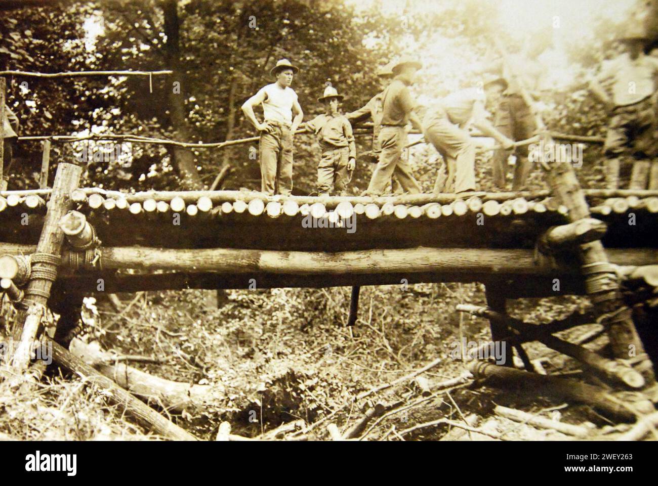 American Expeditionary Forces building bridge during WWI (30570526173 ...