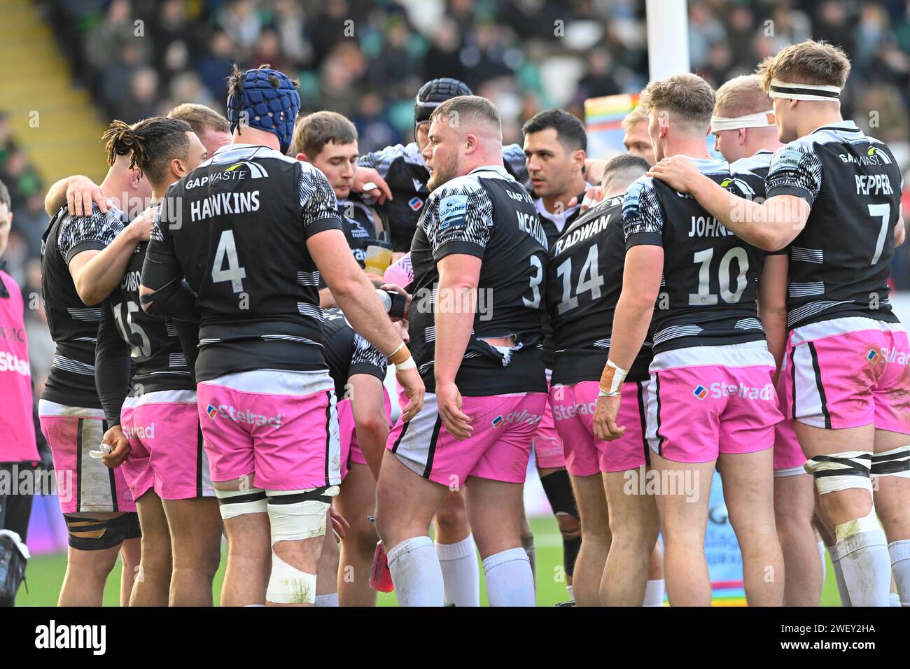Northampton ENGLAND - January 27 -2024: Newcastle Falcons Rugby during ...