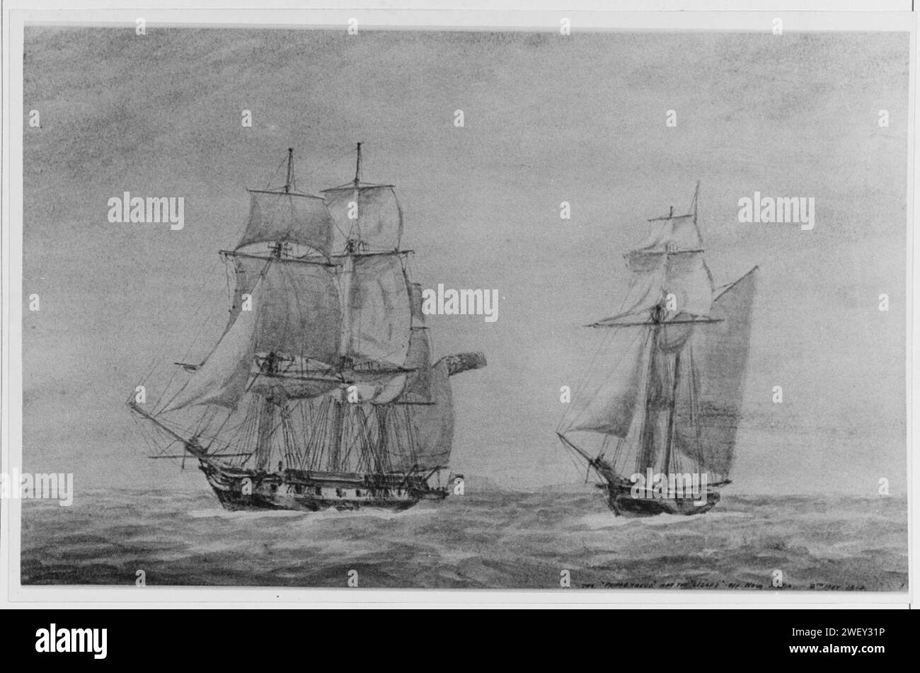 Captured lizard Black and White Stock Photos & Images - Alamy