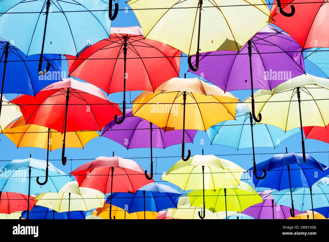 Different umbrellas hi-res stock photography and images - Alamy