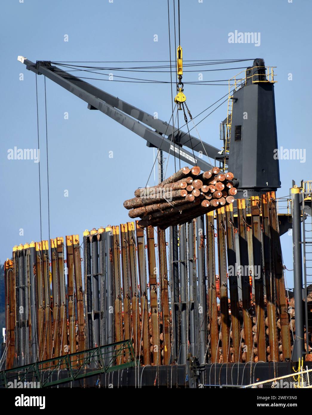 Ship is being loaded with lumber at the terminal in Coos Bay, North ...