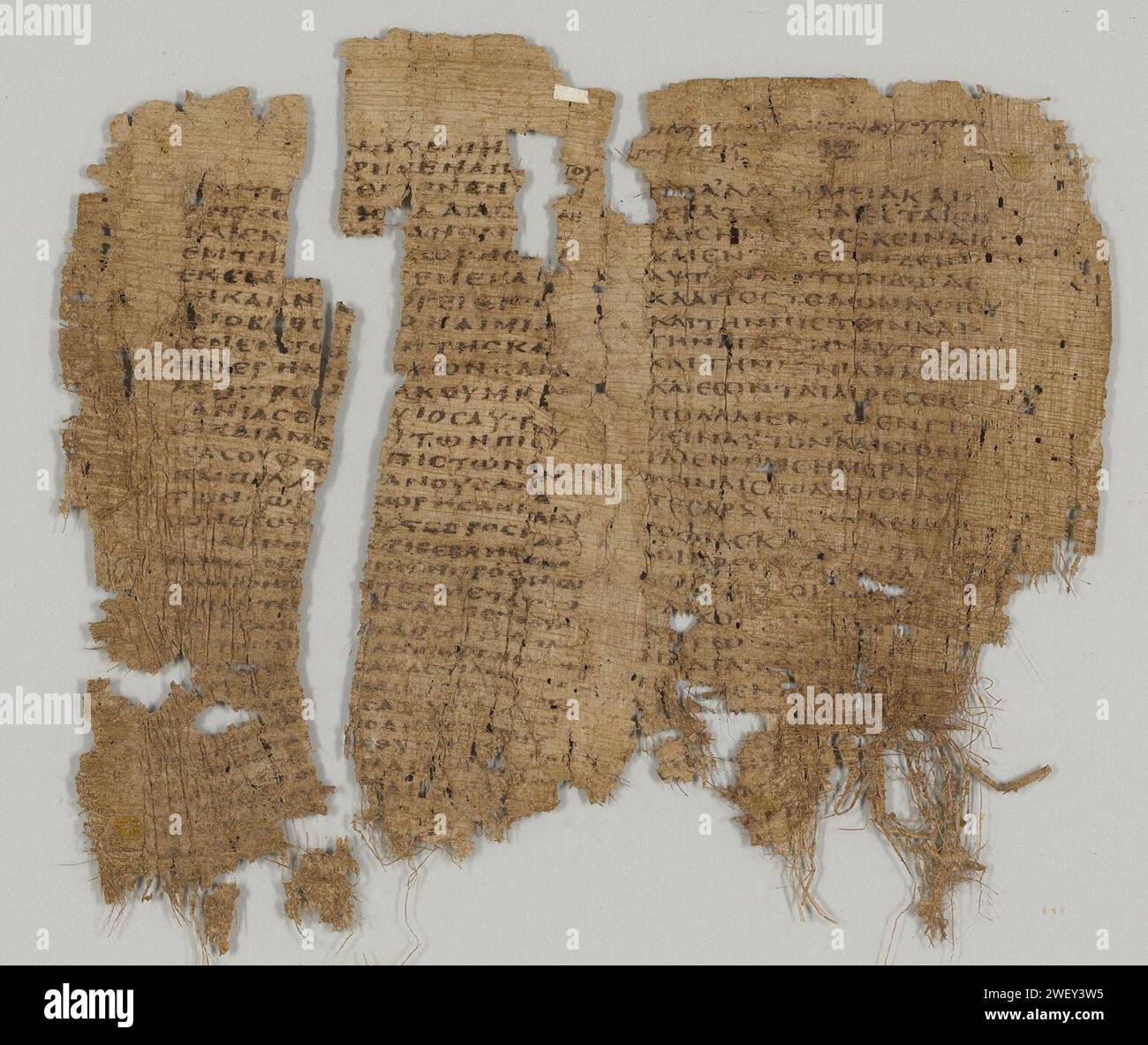 Papyrus 1 hi-res stock photography and images - Alamy