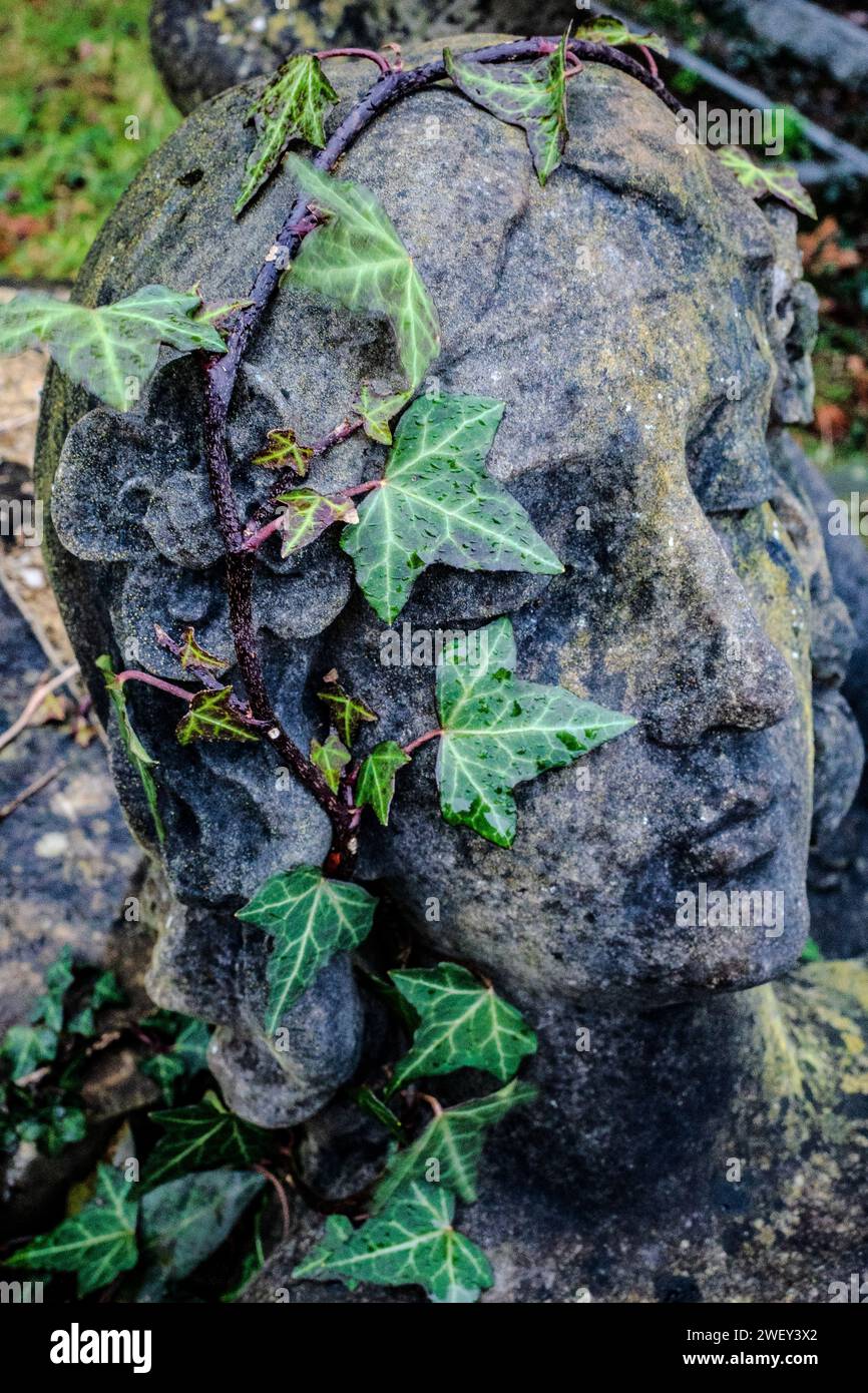 Spooky old sandstone statue covered with ivy. A wreath of ivy on the ...