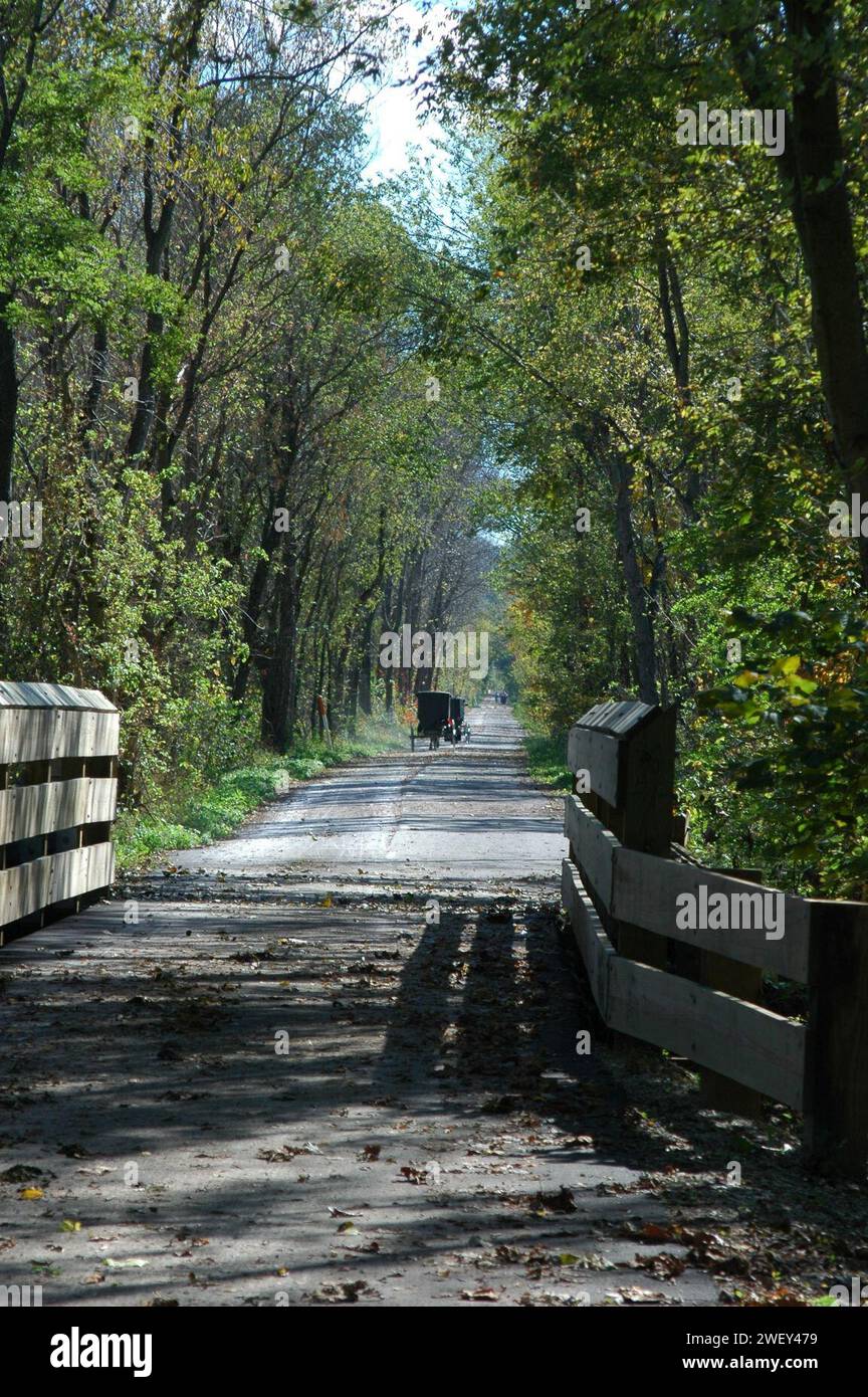 Amish Country Byway - Buggy on Holmes County Trail Stock Photo - Alamy