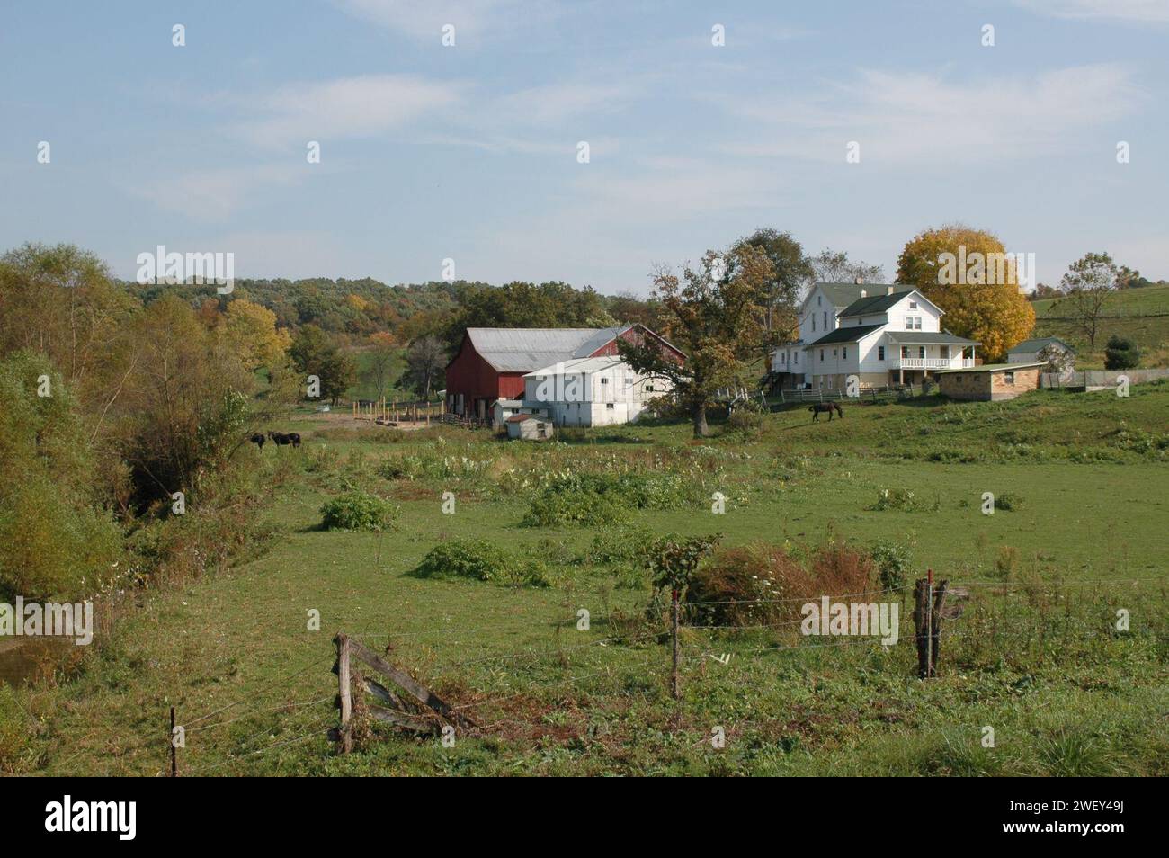Amish Country Byway - Grazing on a Farm near the Amish Country Byway ...
