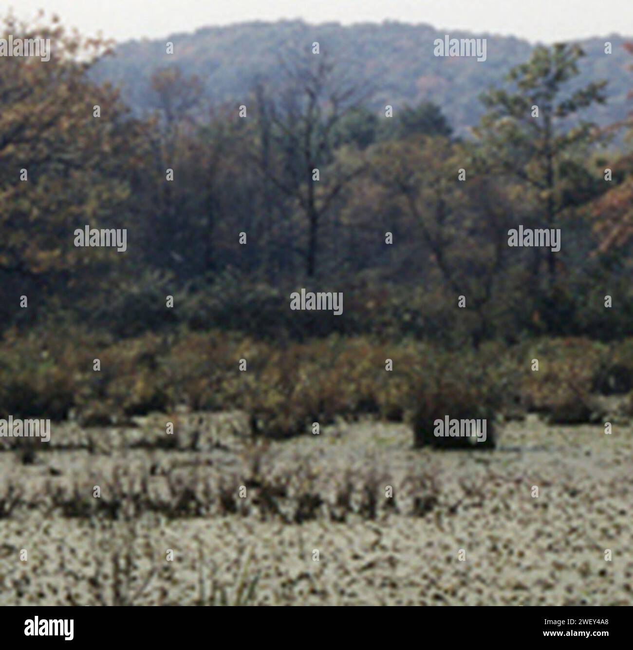 Amish Country Byway - Killbuck Marsh Stock Photo - Alamy