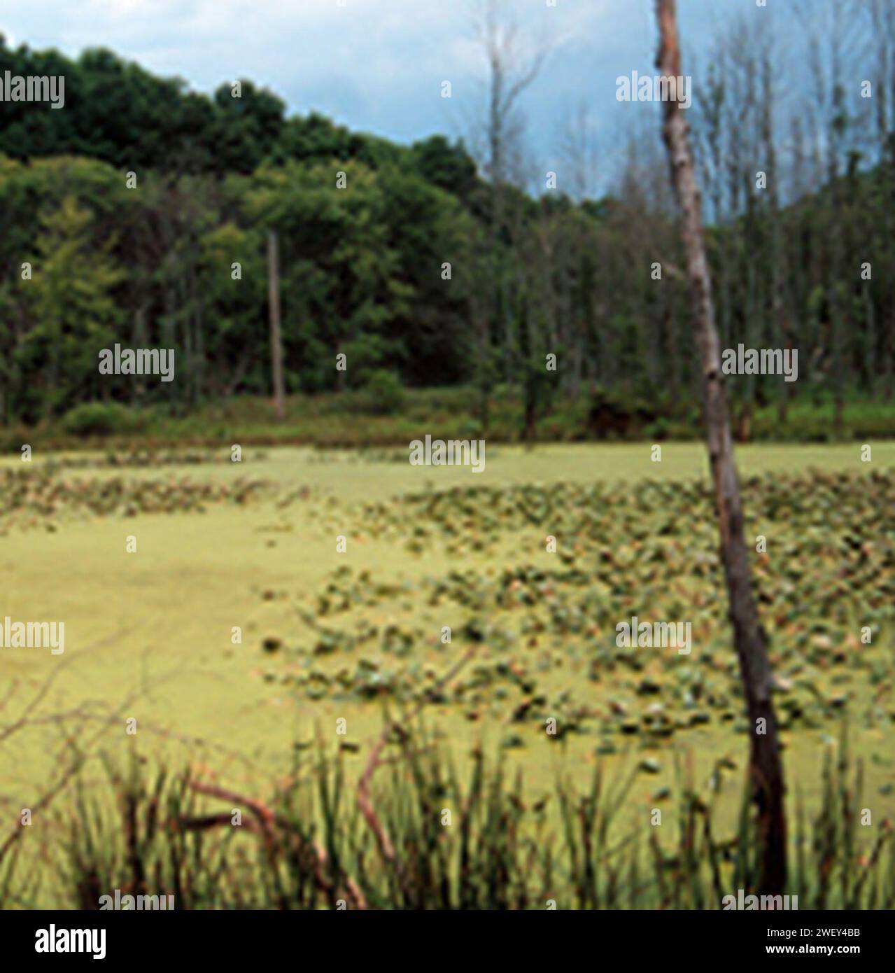 Killbuck hi-res stock photography and images - Alamy