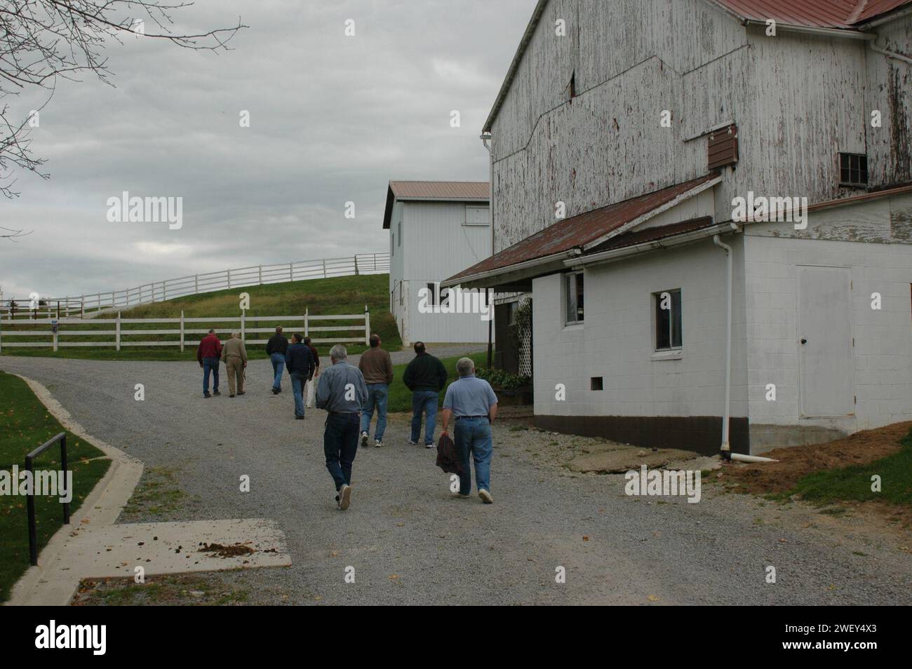 Amish Country Byway - Visitors View White Barns on Miller's Farm Stock ...