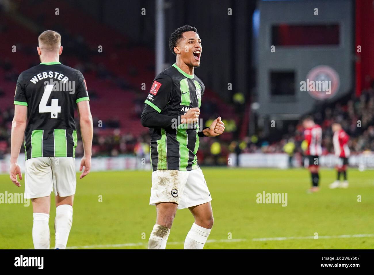 Sheffield, UK. 27th Jan, 2024. Brighton & Hove Albion forward João ...