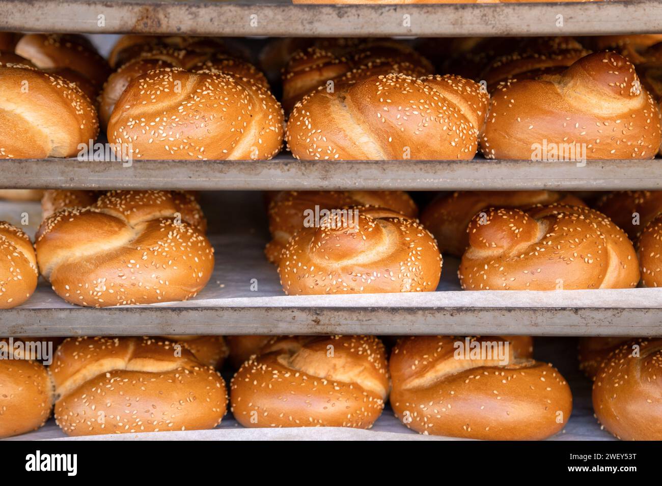 Traditional israeli bread hala on the shelves Stock Photo - Alamy