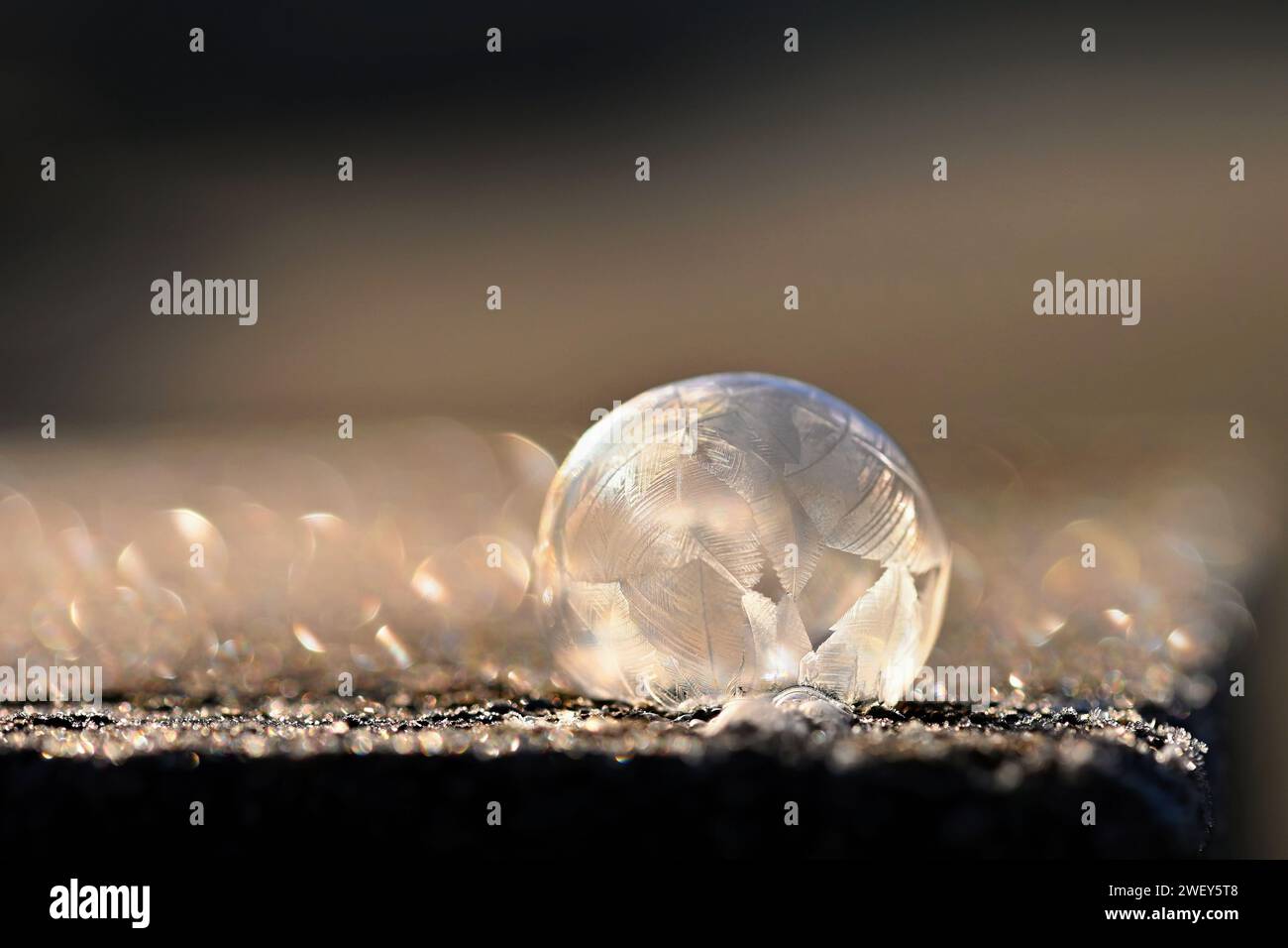 Beautiful ice bubble. Macro shot of winter nature. Frost - ice and ...