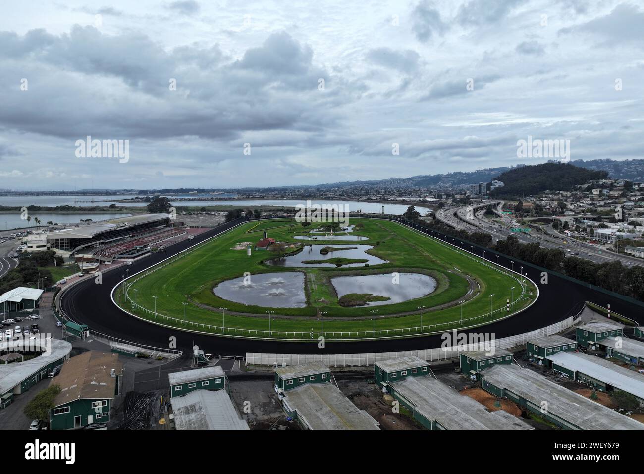 Winners Circle Pictures Golden Gate Enhanced Golden Gate Assembly: