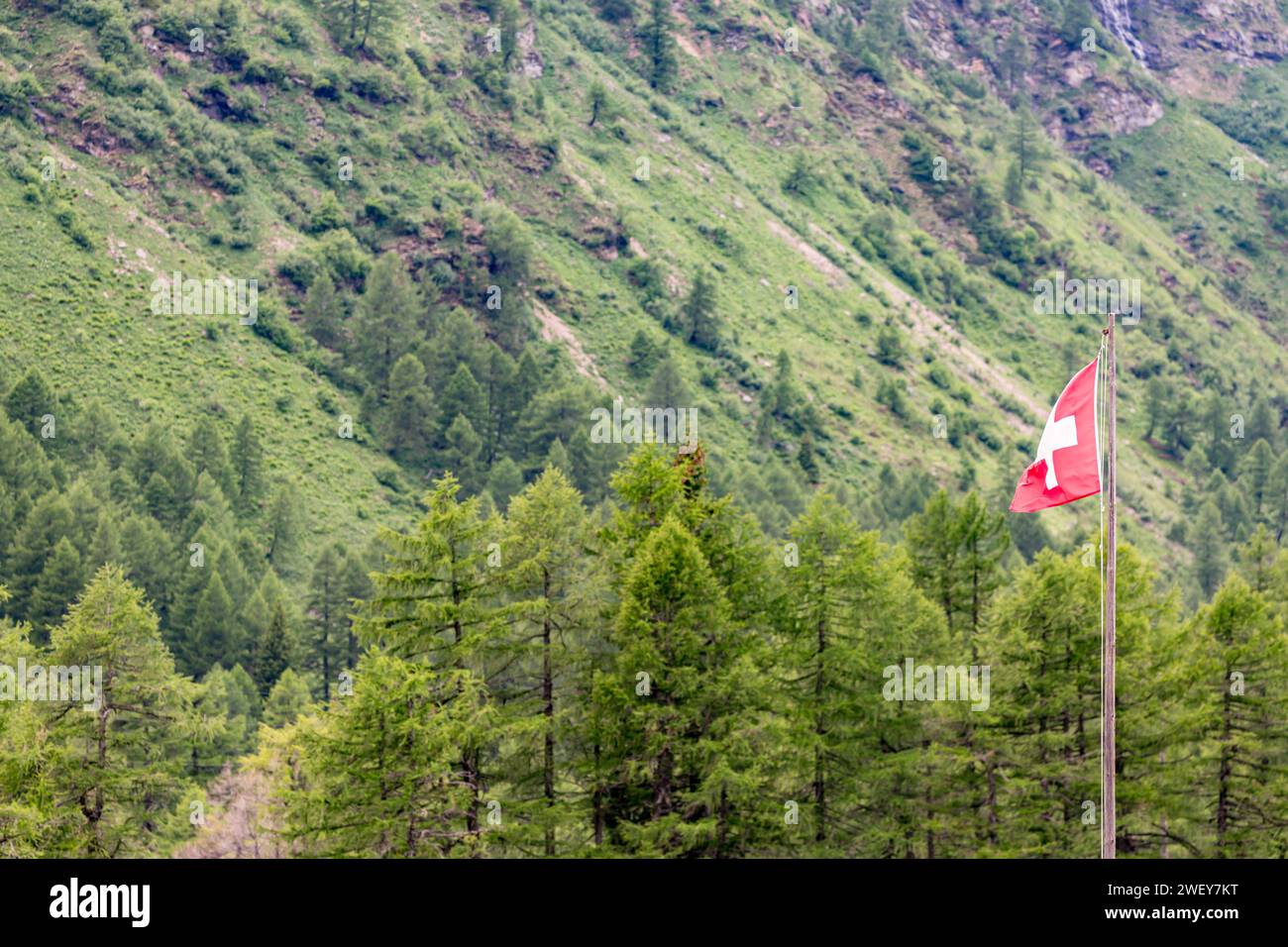 National flag. Swiss Alps scenery green view. Travel in Switzerland ...
