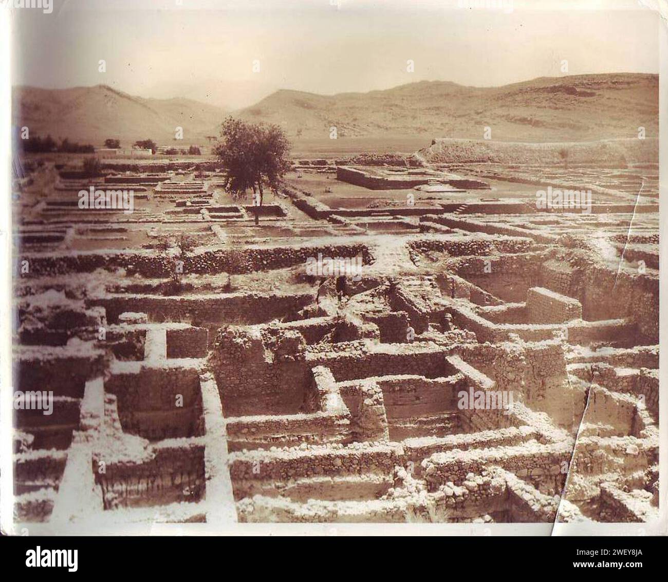 An early overview photo, c. late 1800's, of the Greek town of Sirkap (c ...