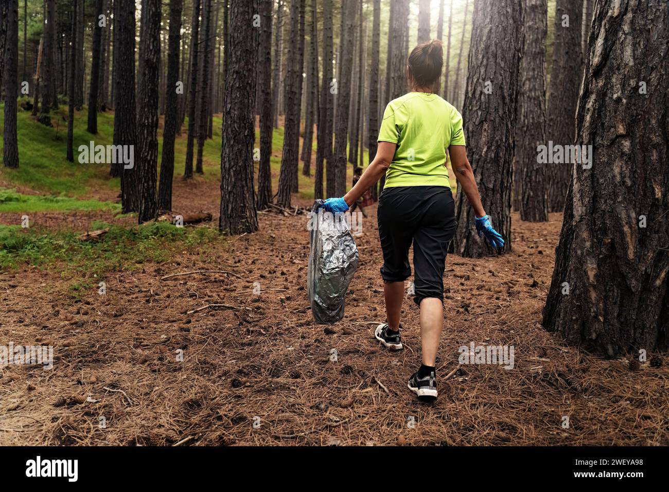 Conservation effort efforts hi-res stock photography and images - Alamy