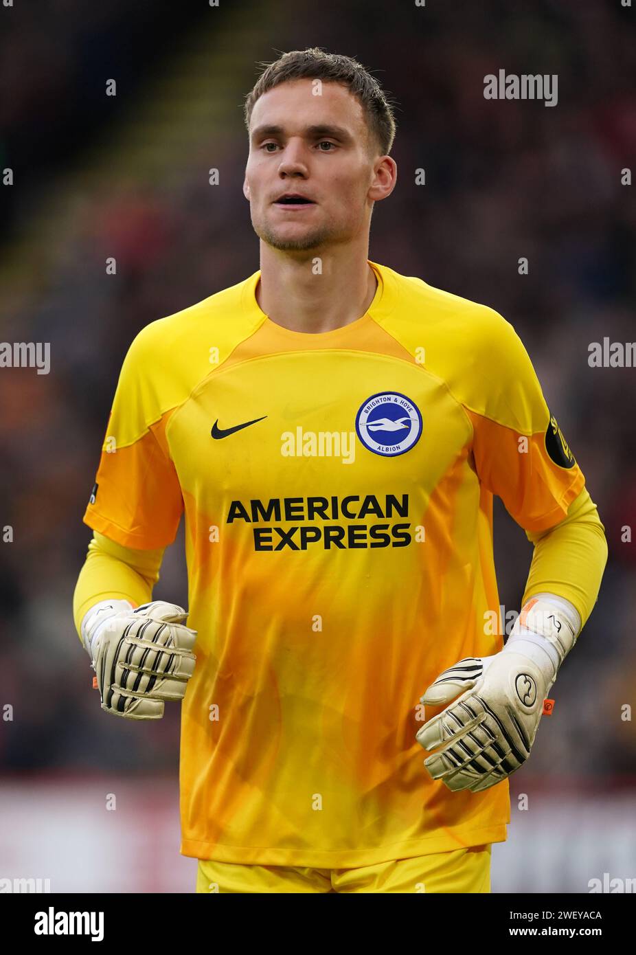 Brighton and Hove Albion goalkeeper Bart Verbruggen during the Emirates ...