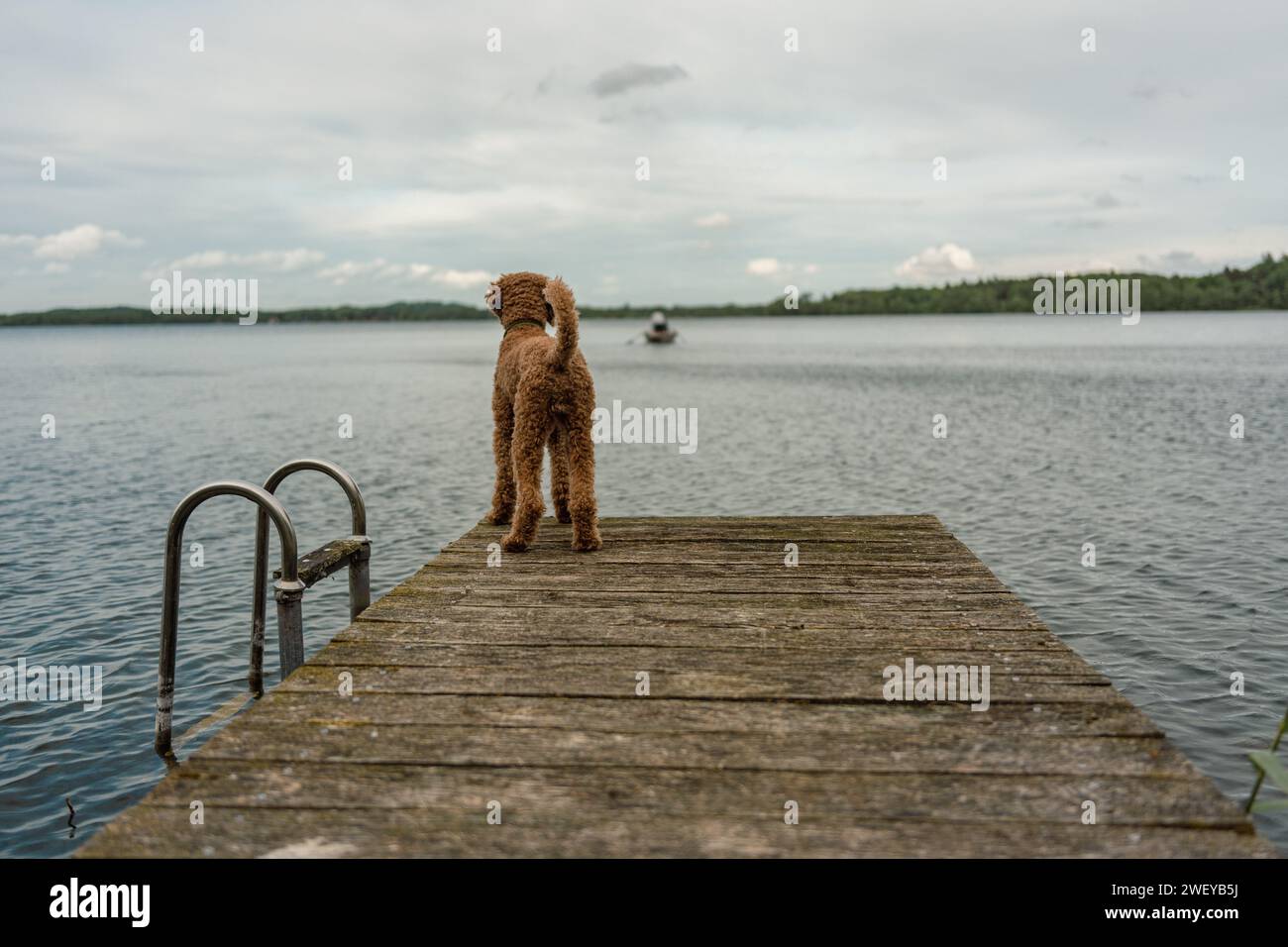 Brown pier hi-res stock photography and images - Alamy