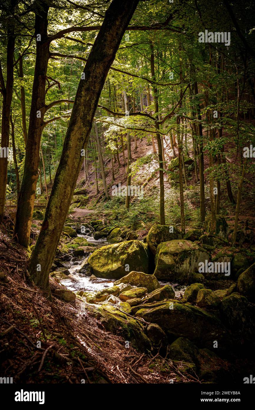 Abounding vegetation hi-res stock photography and images - Alamy